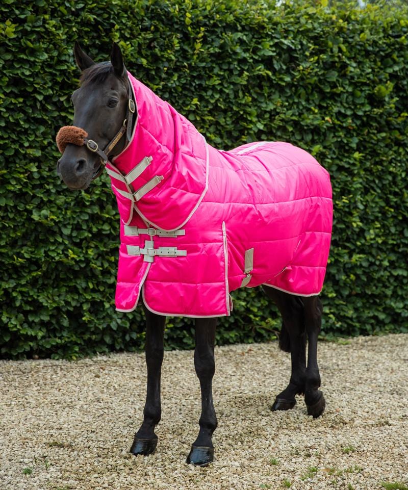 100g Stable Rug With Detachable Neck - Hi Vis Pink – AG Equestrian